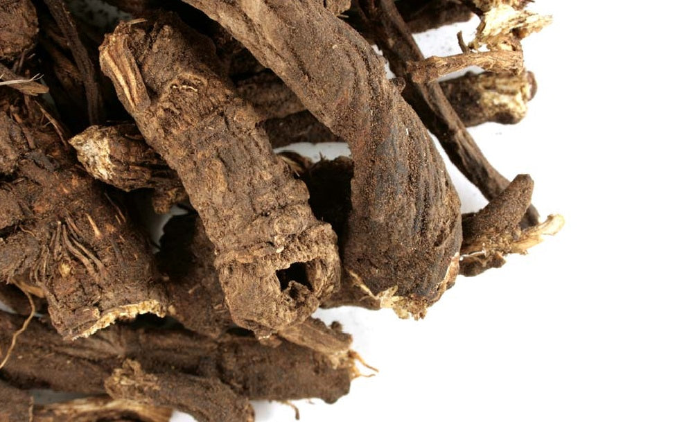 Osha Root Whole